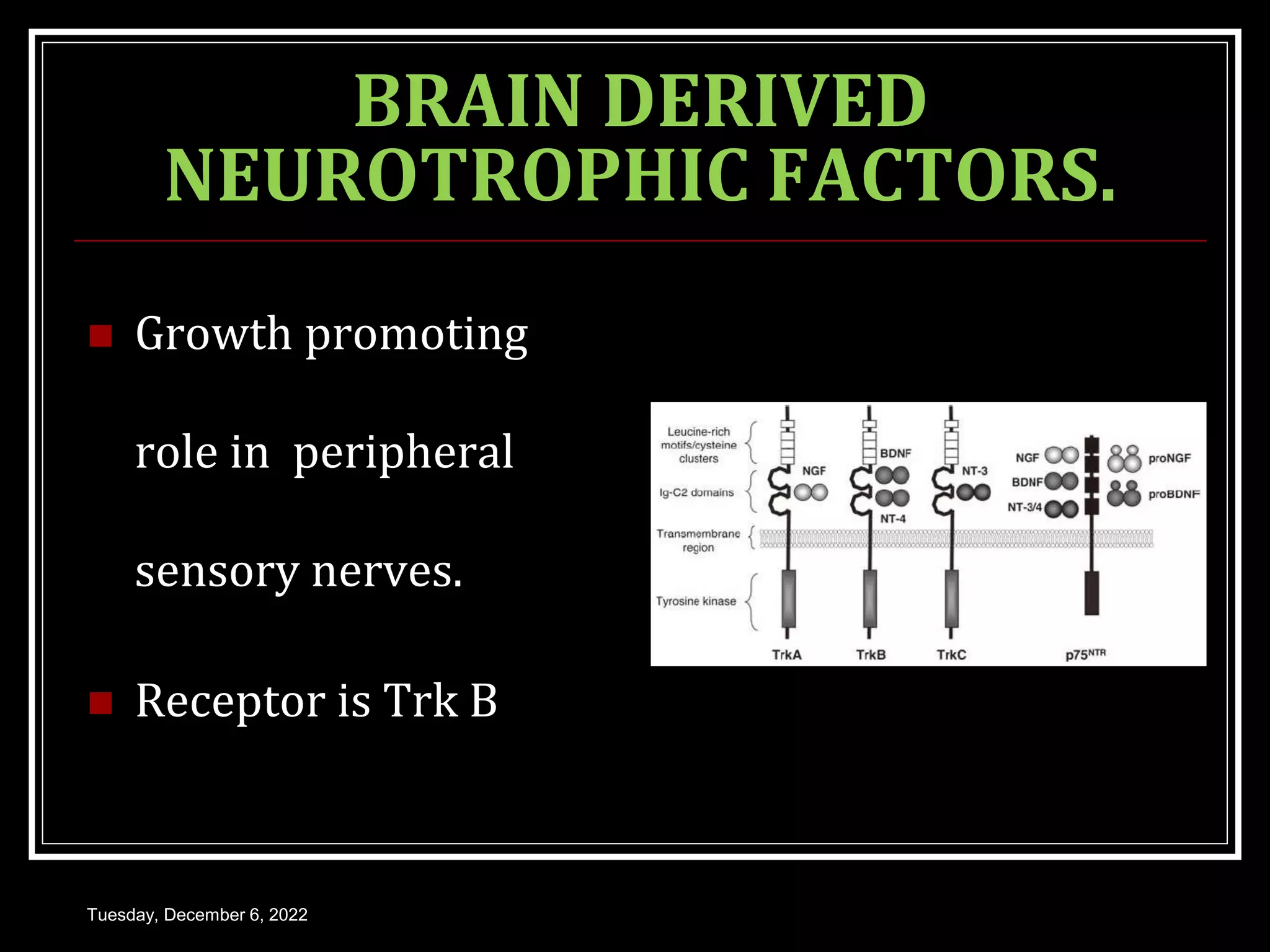 NERVE GROWTH FACTORS, NEUROTROPHINS | PPTX