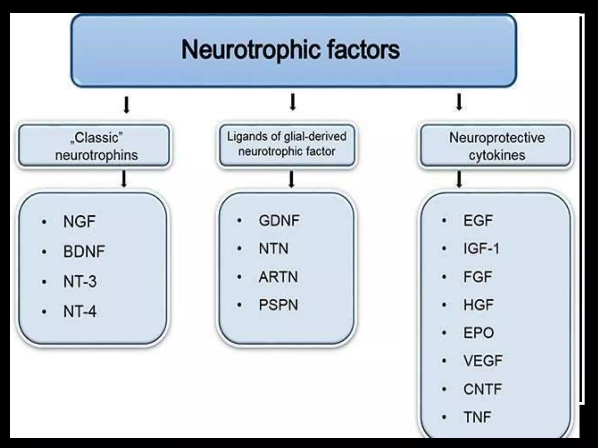 NERVE GROWTH FACTORS, NEUROTROPHINS | PPTX