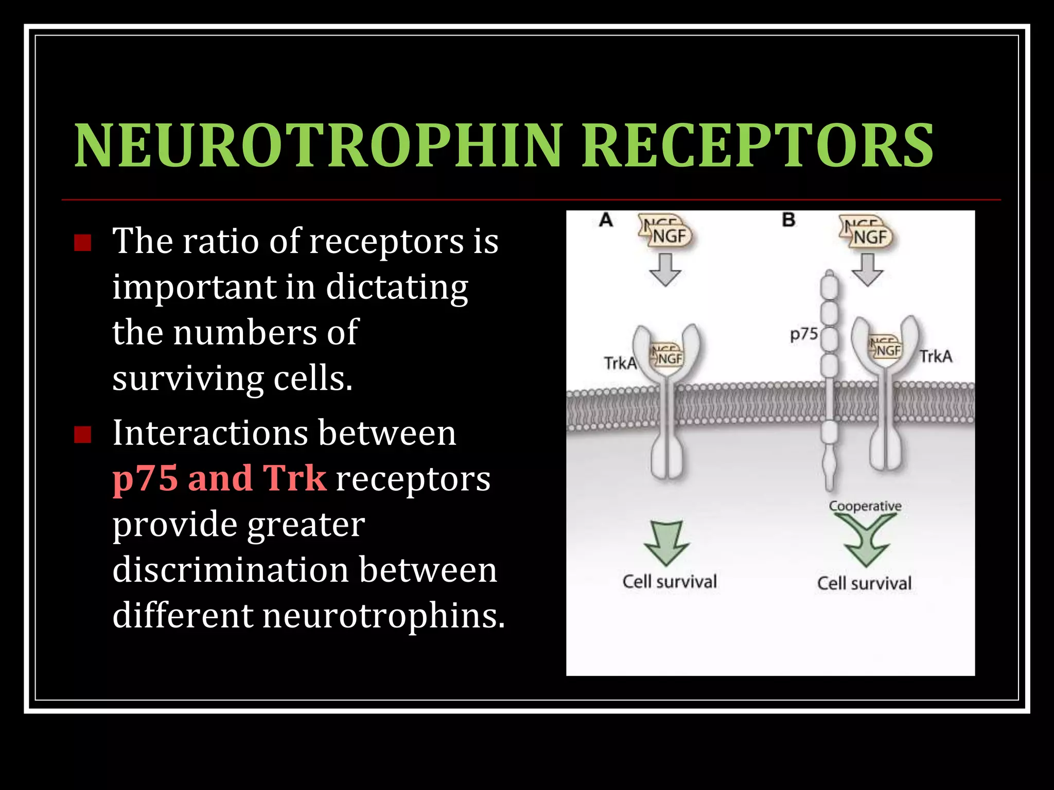 NERVE GROWTH FACTORS, NEUROTROPHINS | PPTX