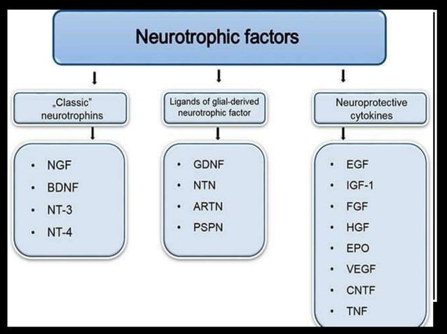 NERVE GROWTH FACTORS, NEUROTROPHINS | PPTX | Brain and Nervous System Disorders | Diseases and ...