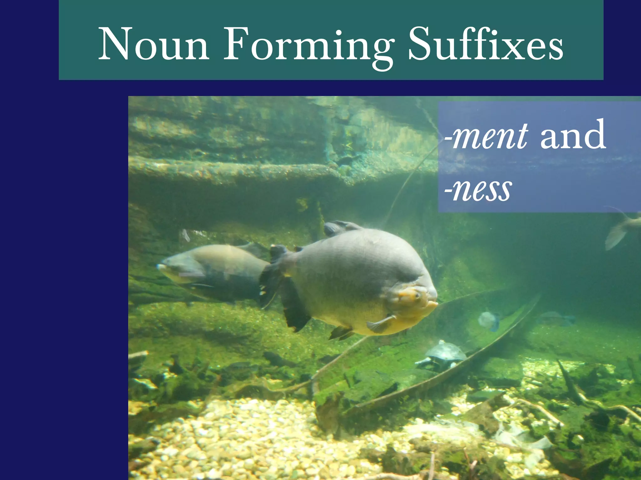 Noun Forming Suffixes -ment and -ness | PPT