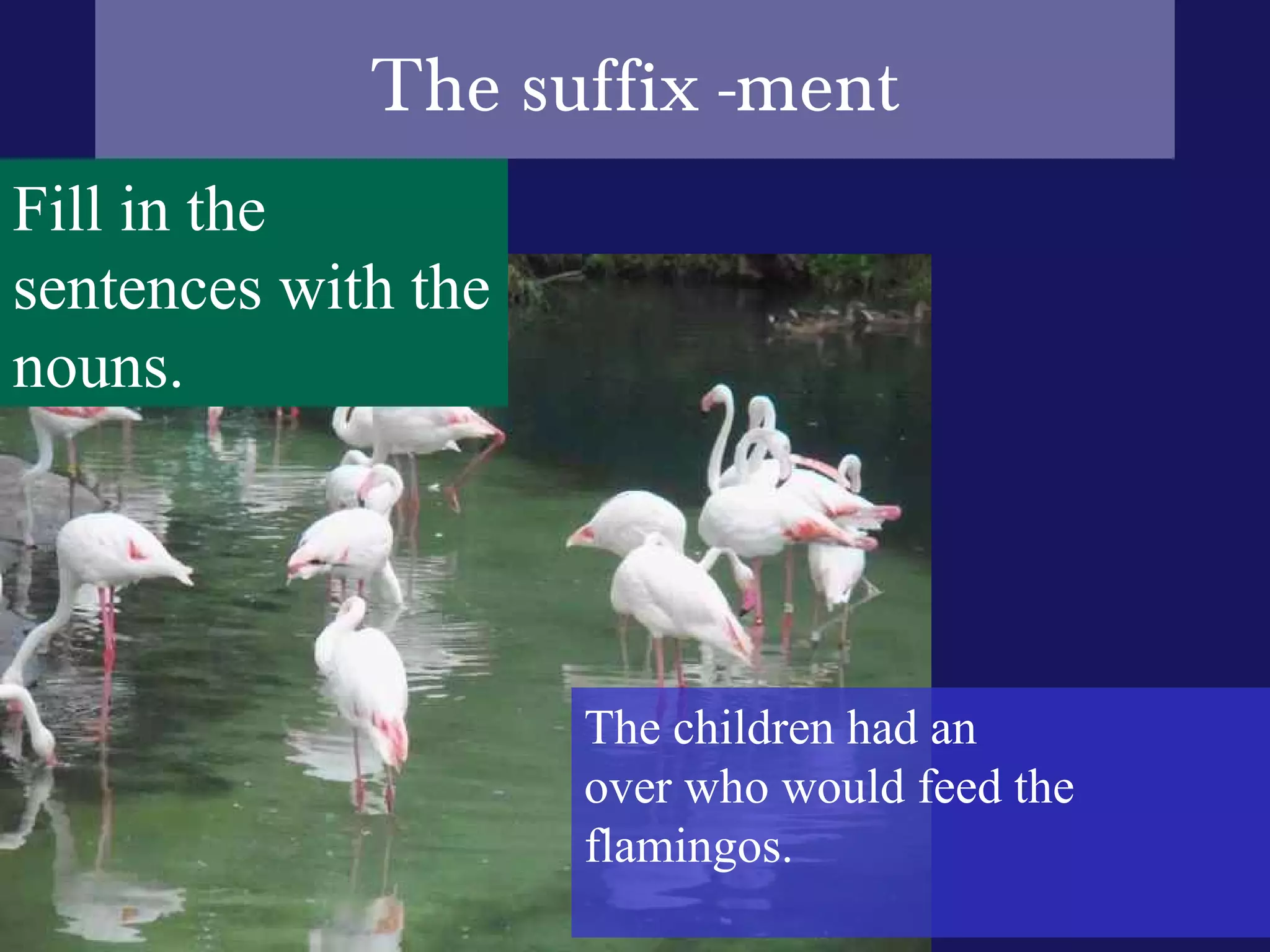 Noun Forming Suffixes -ment and -ness | PPT
