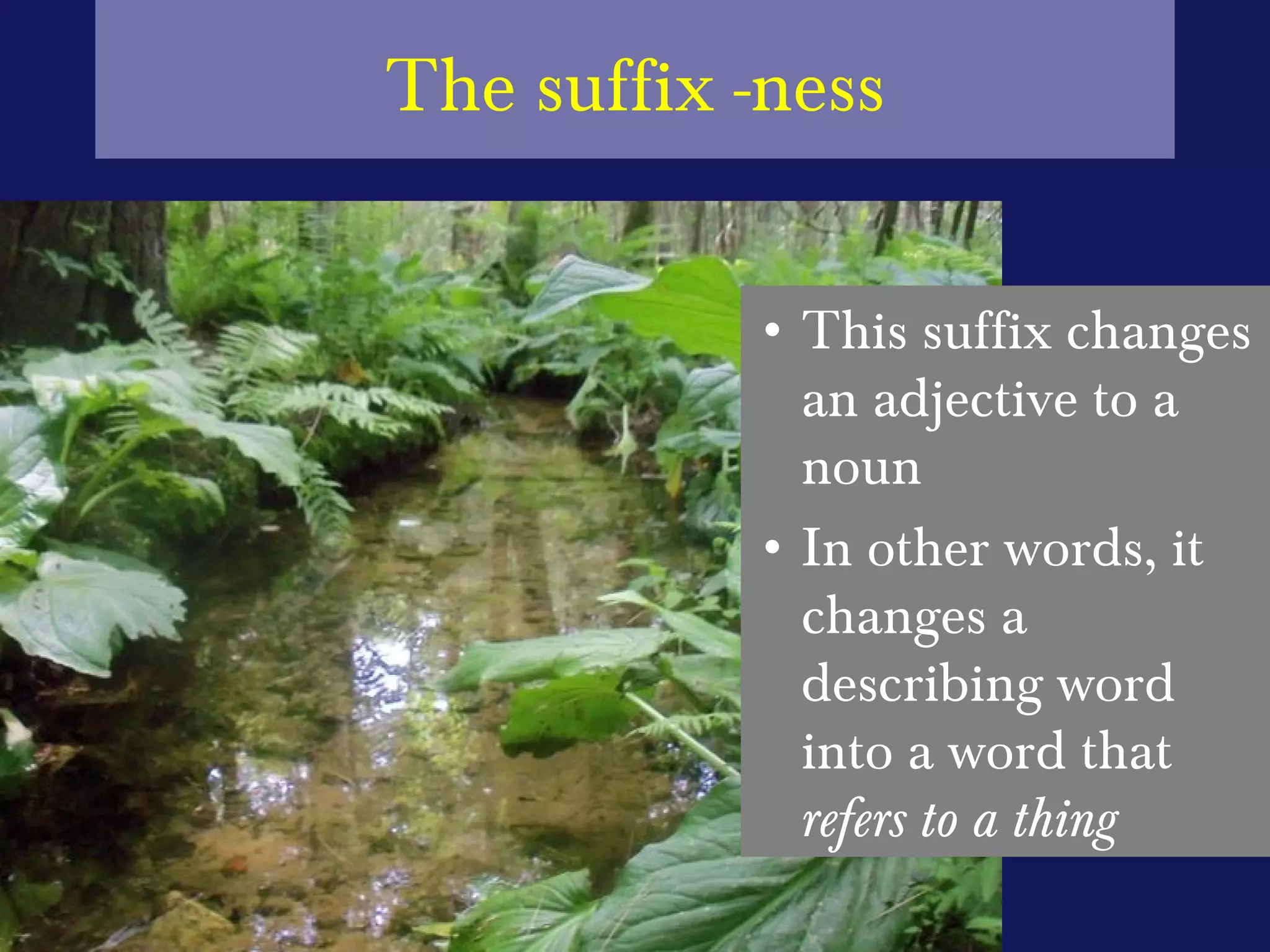 Noun Forming Suffixes -ment and -ness | PPT