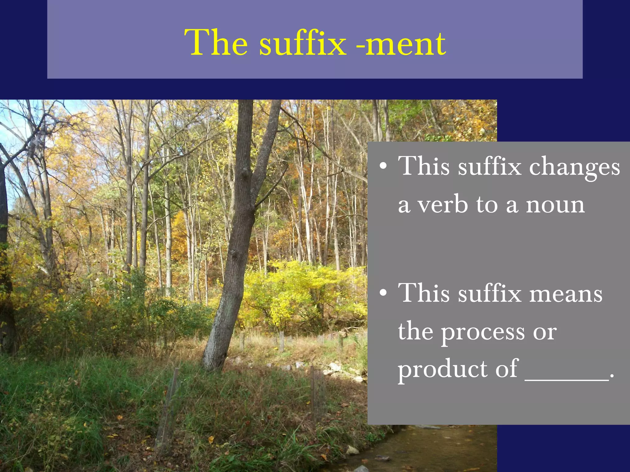 Noun Forming Suffixes -ment and -ness | PPT