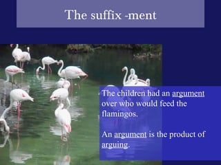 Noun Forming Suffixes -ment and -ness | PPT