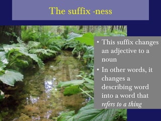 Noun Forming Suffixes -ment and -ness | PPT