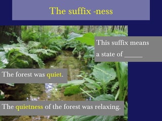 Noun Forming Suffixes -ment and -ness | PPT