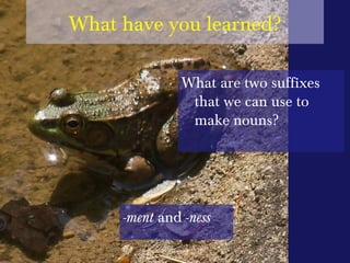 Noun Forming Suffixes -ment and -ness | PPT