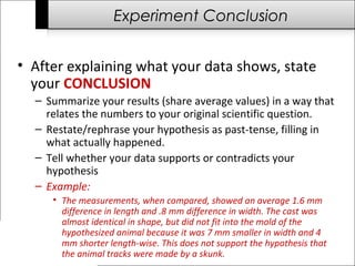 Scientific Conclusion Images