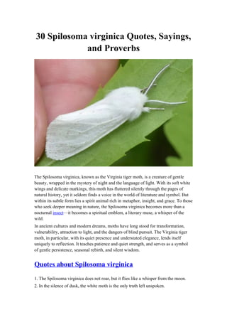 30 Spilosoma virginica Quotes, Sayings, and Proverbs.docx