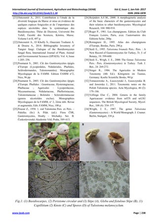 study of two fungal species of tulostoma genus encountered for the first time in morocco | PDF ...