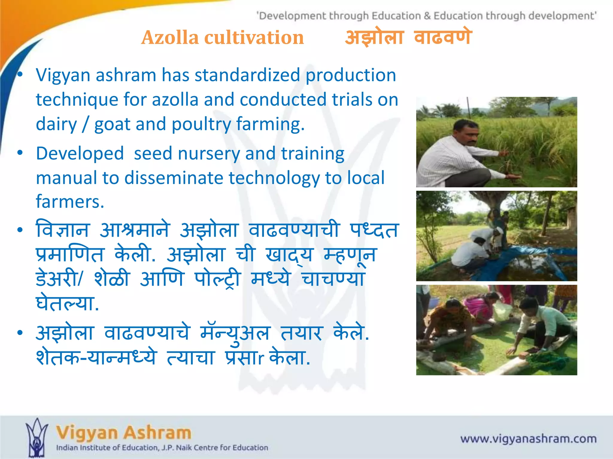 Azola farming | PPT