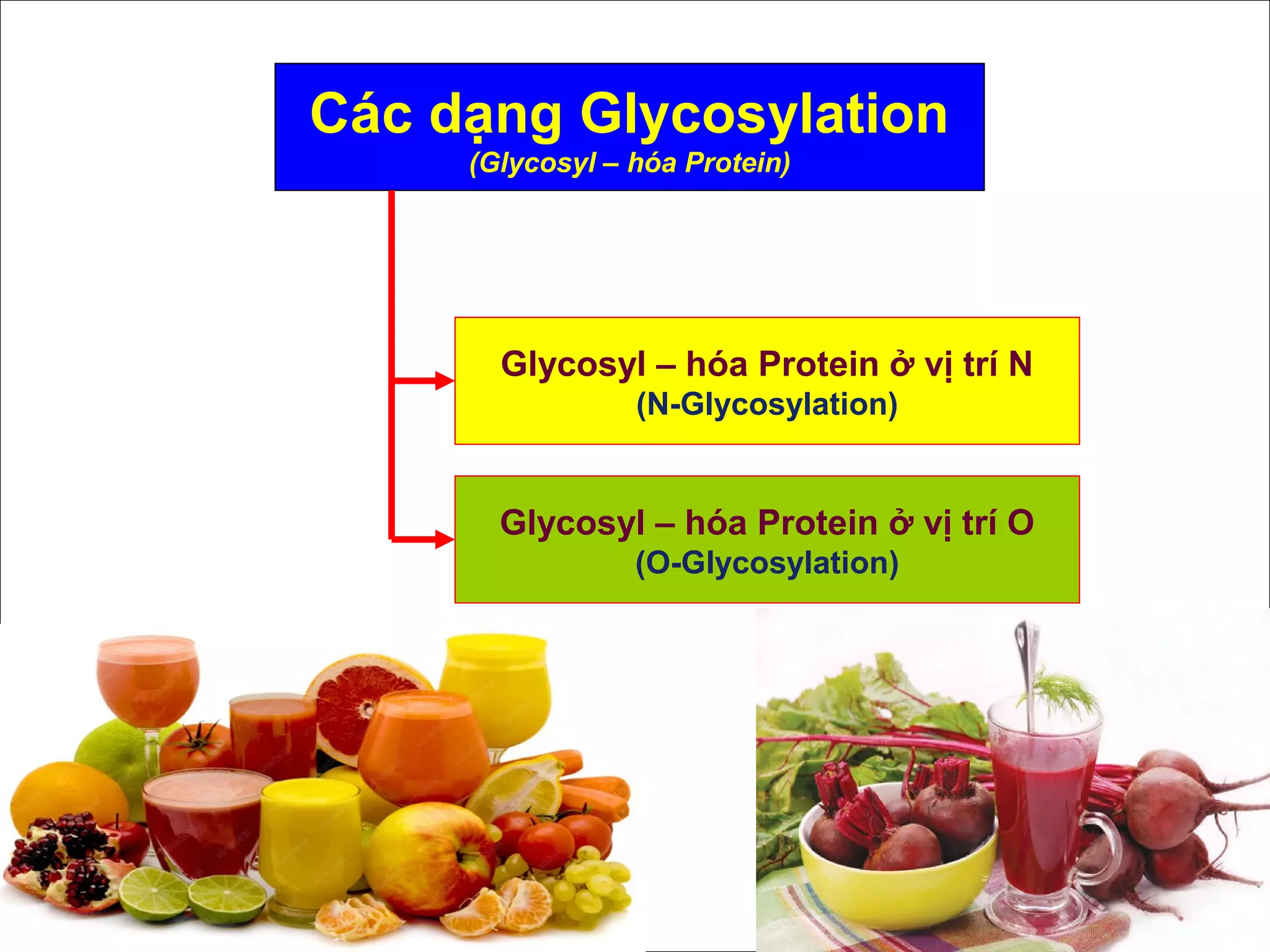 30 thuyết glycosyl – hóa | PPT