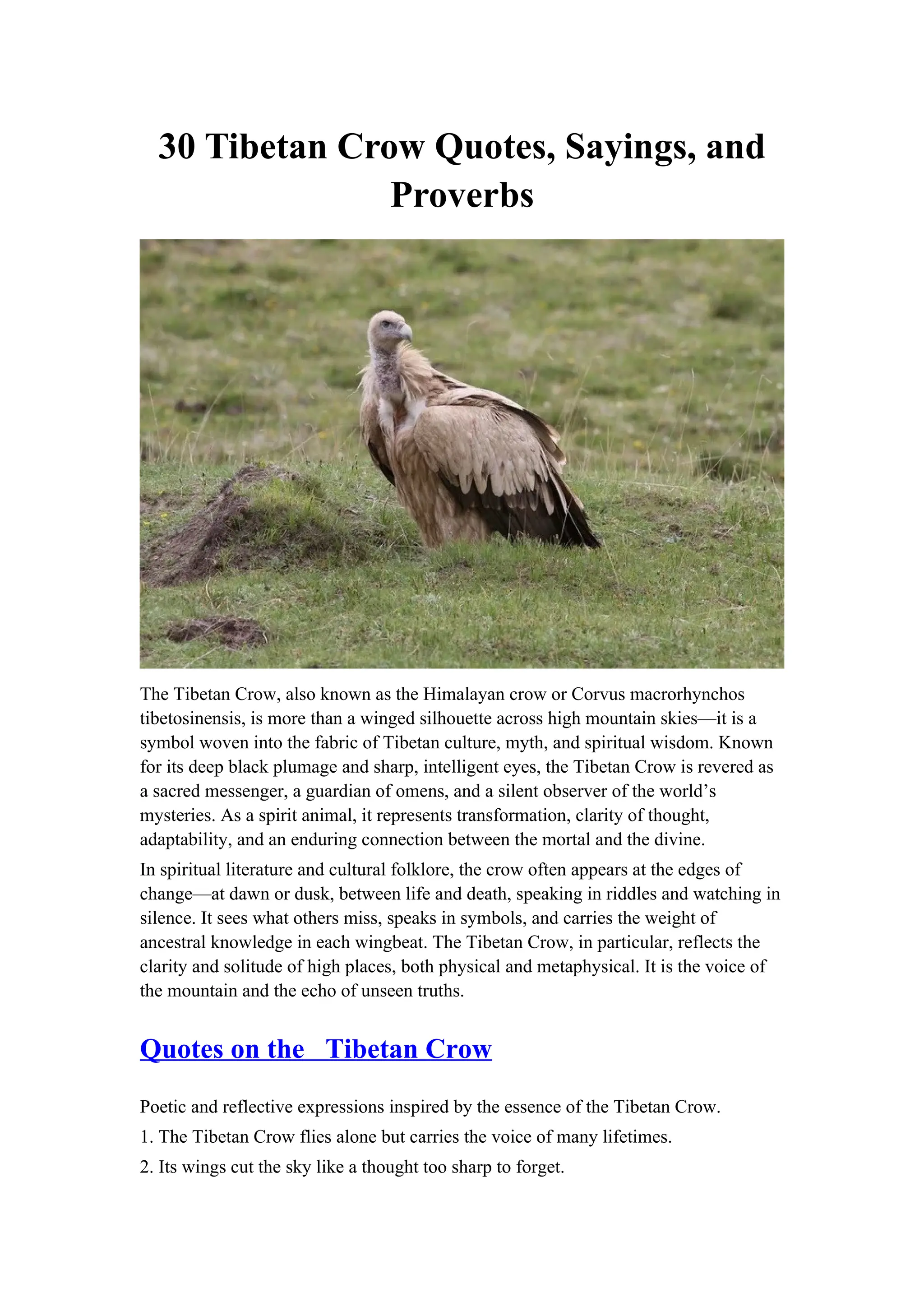 30 Tibetan Crow Quotes, Sayings, and Proverbs.docx