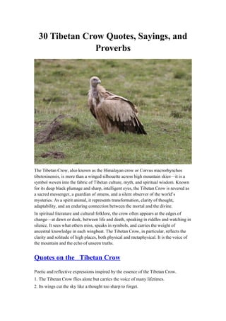 30 Tibetan Crow Quotes, Sayings, and Proverbs.docx