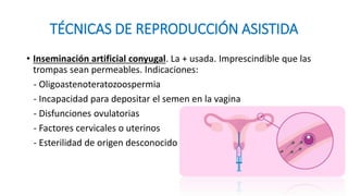 (2019-01-31))infertilidad y gestacion subrogada (ppt) | PPTX