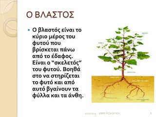 φυσικη ενοτητα 3 φε1 τα μερη του φυτου | PPTX