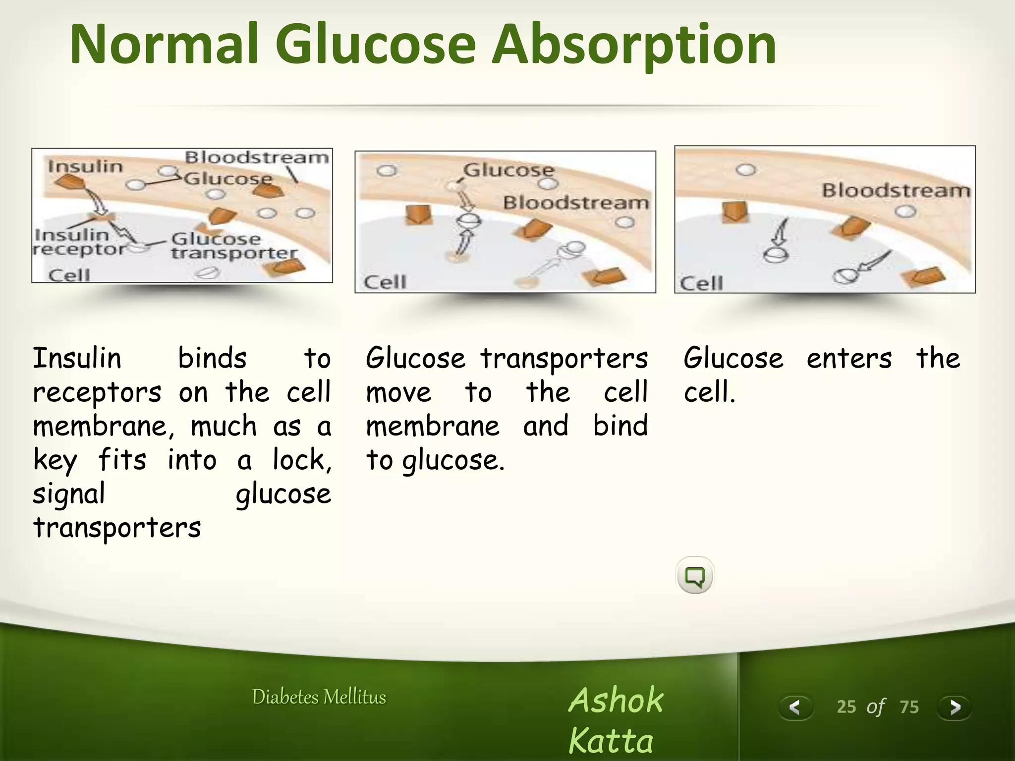 Diabetes Mellitus - In Terms of Biochemistry | PPSX
