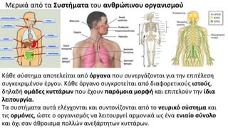 Τα επίπεδα οργάνωσης της ζωής | PPTX