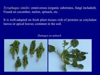 Acarology | PPT