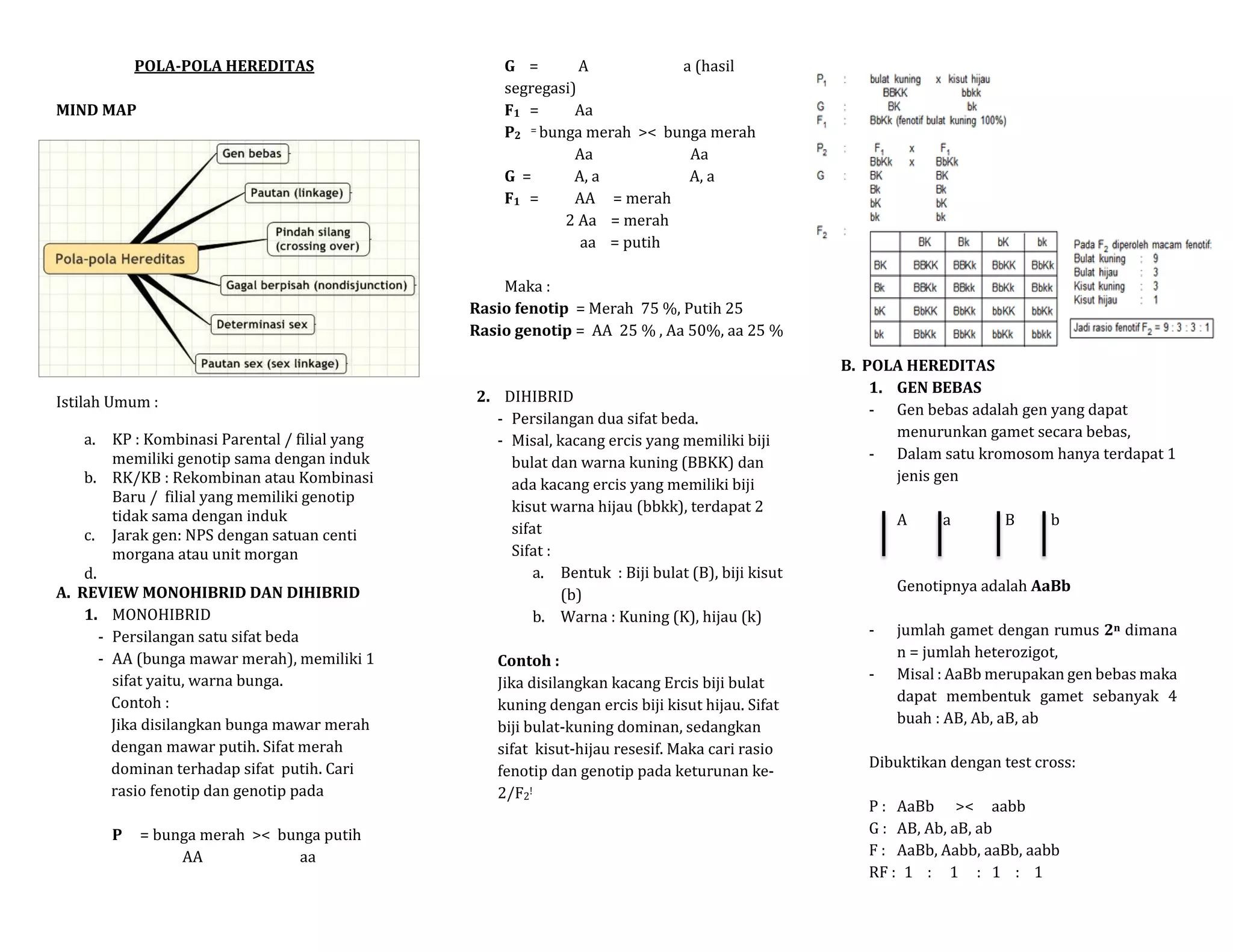 POLA HEREDITAS (BIOLOGI SMA) | PDF