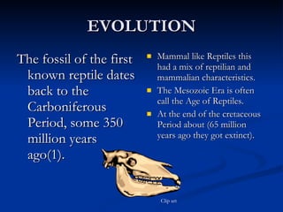 31 1 Reptiles | PPT