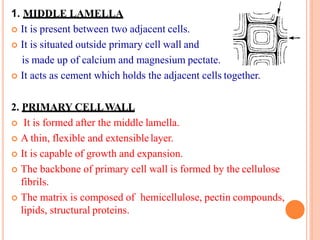 Plant Cell wall Structure | PPTX
