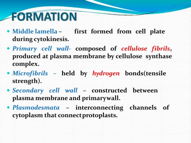 Plant Cell wall Structure | PPTX