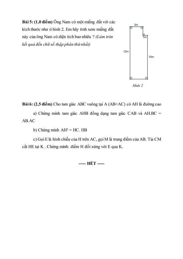 Đề Thi HK2 Toán 8 - THCS Chánh Hưng | DOCX