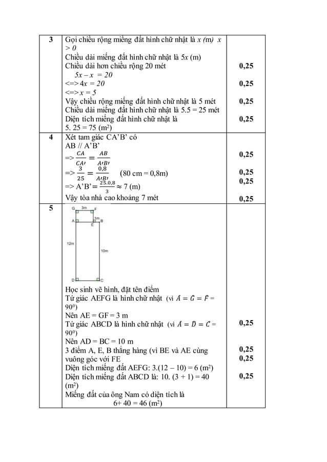 Đề Thi HK2 Toán 8 - THCS Chánh Hưng | DOCX