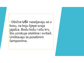 31. 5. Higijena.pptx