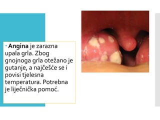 31. 5. Higijena.pptx