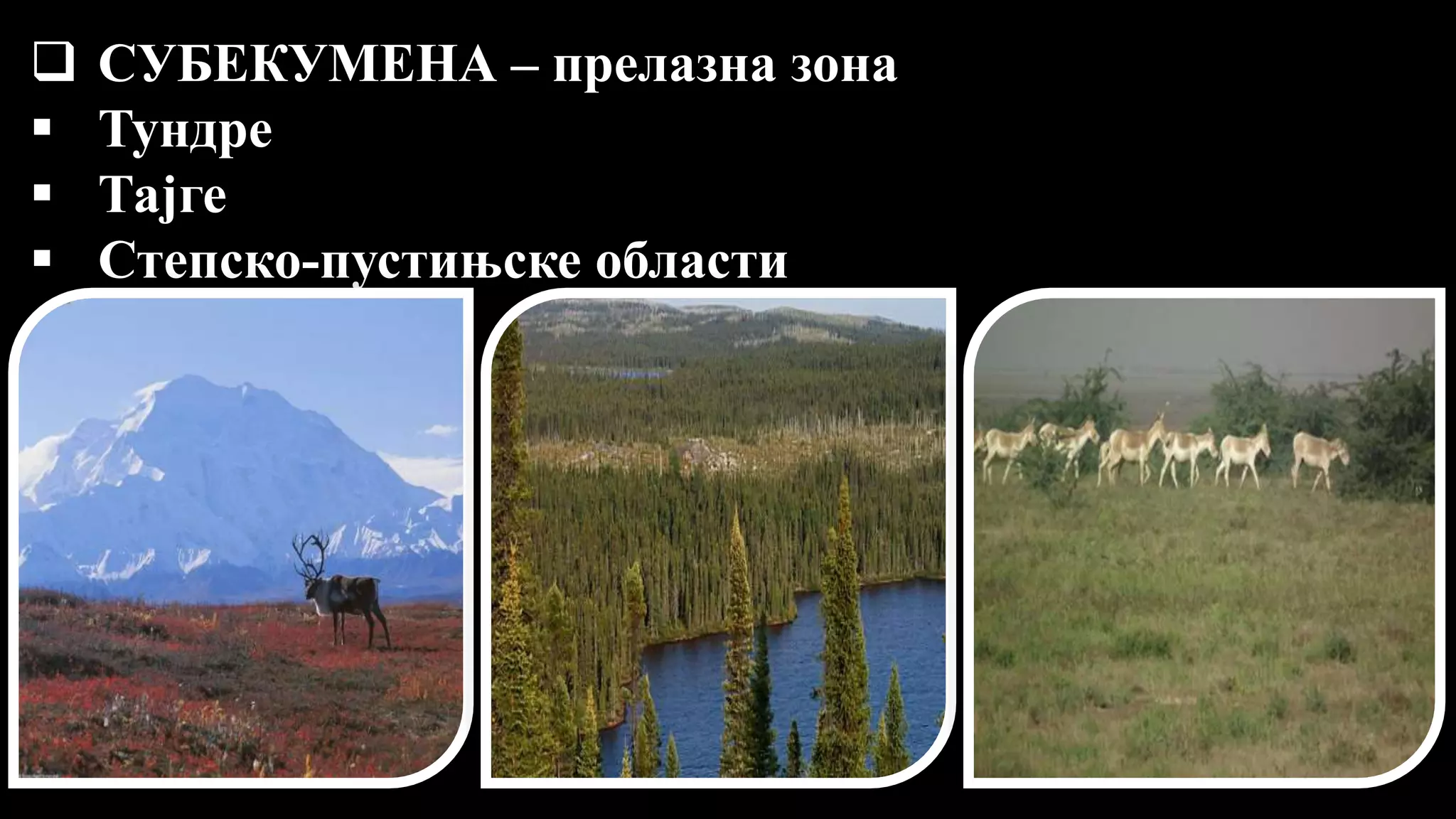 EKUMENA I GUSTINA NASELJENOSTI .pptx