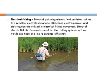 31.-FISHING-GEARS-OF-INLAND-WATER-BODIES-IN-INDIA.pdf
