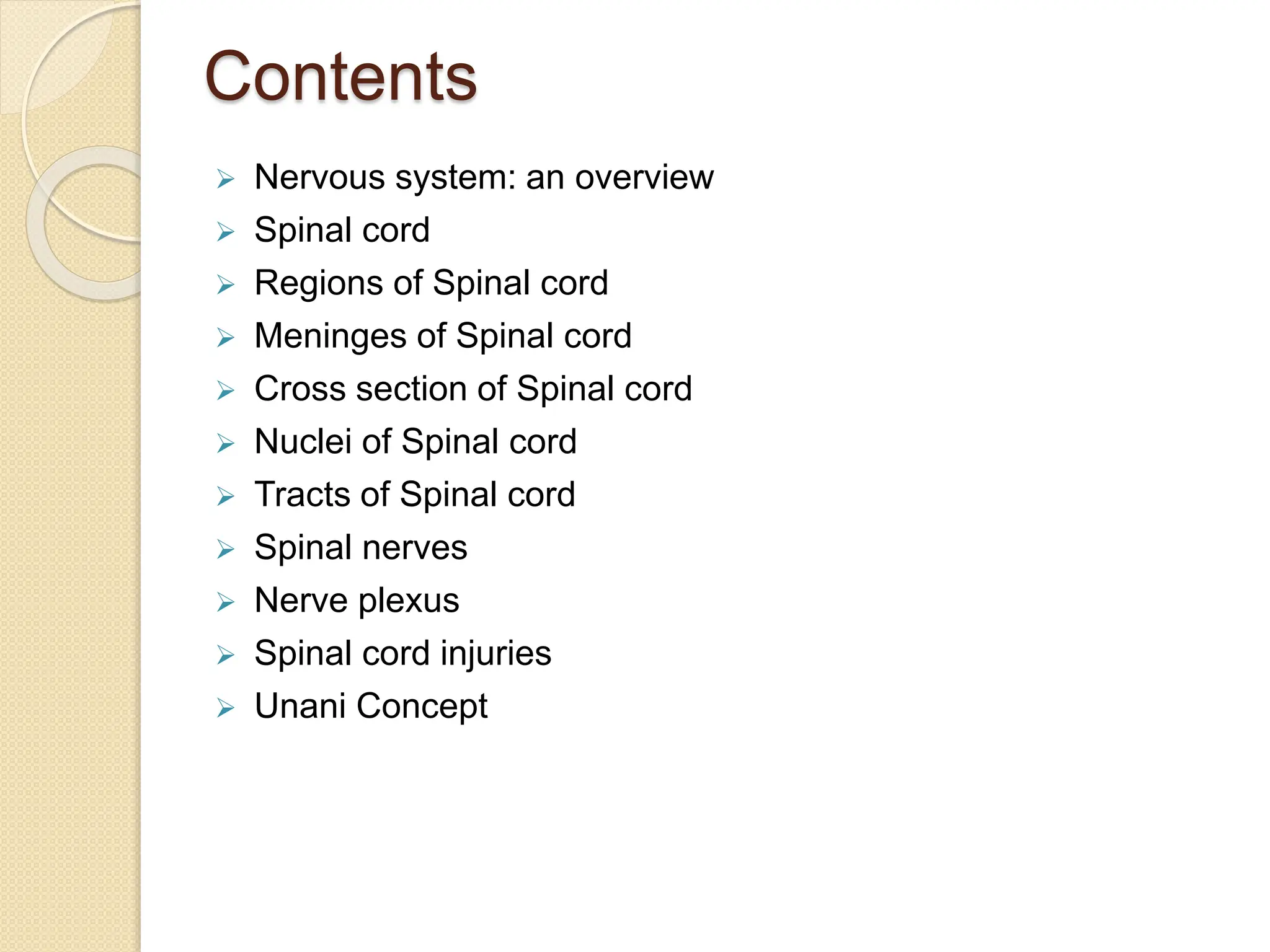 31.01.2024 - Anatomy & physiology of Spinal cord.pptx