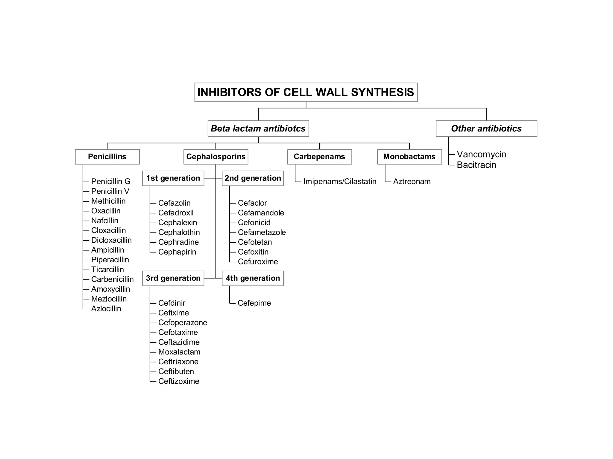 BETA LACTAM ANTIBIOTICS AND OTHER INHIBITORS OF CELL WALL SYNTHESIS.ppt