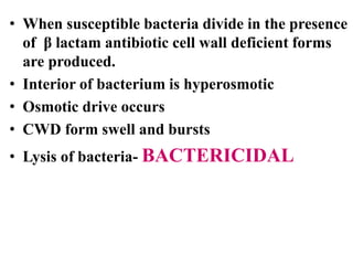 Anti-Microbials Cell Wall Synthesis Inhibitors | PPT