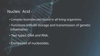 Nucleic acid its structure and functions.pptx