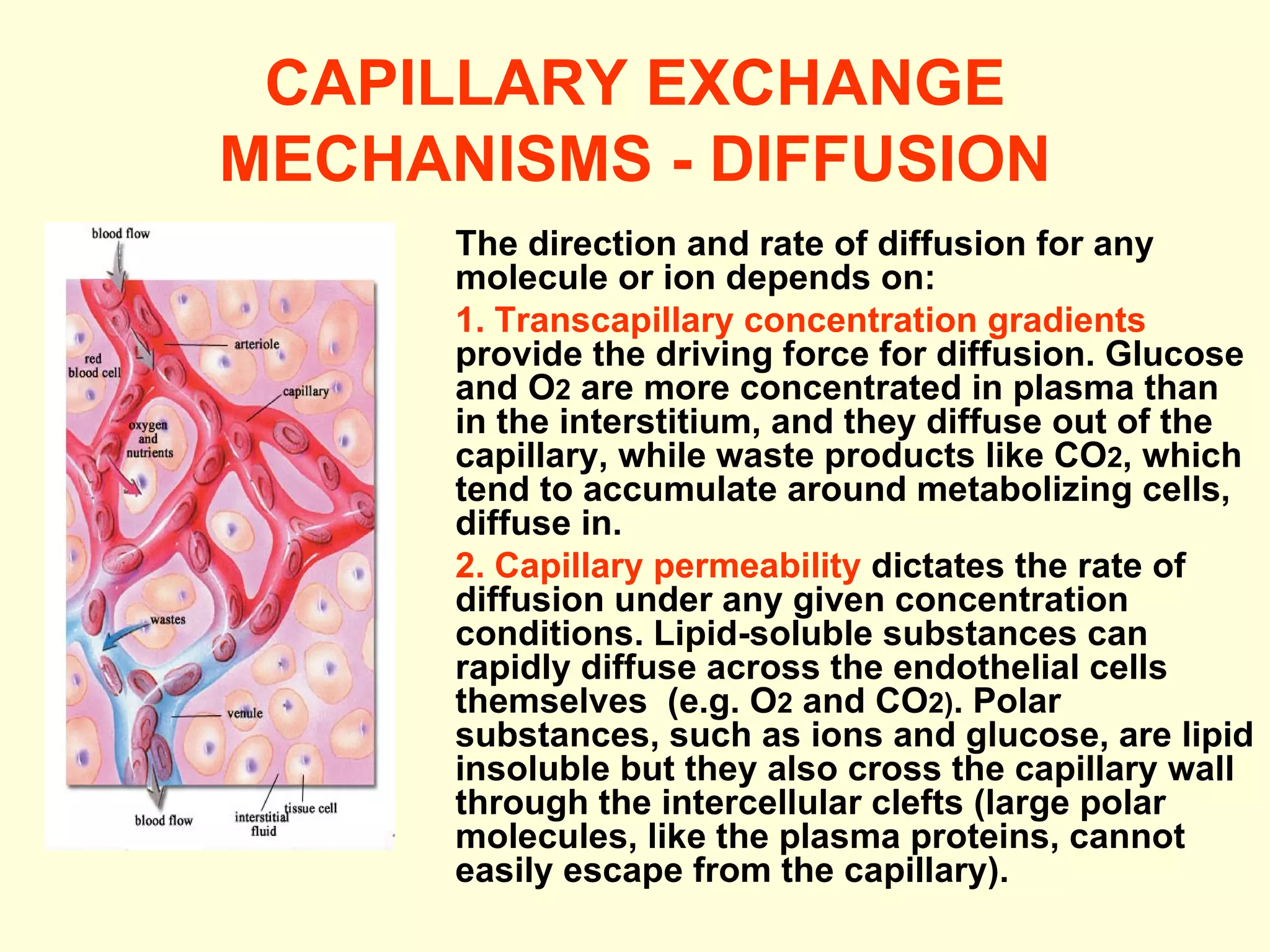 31. cardiovascular 3-08-09 | PPT