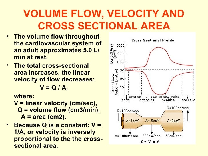 31. cardiovascular 3-08-09