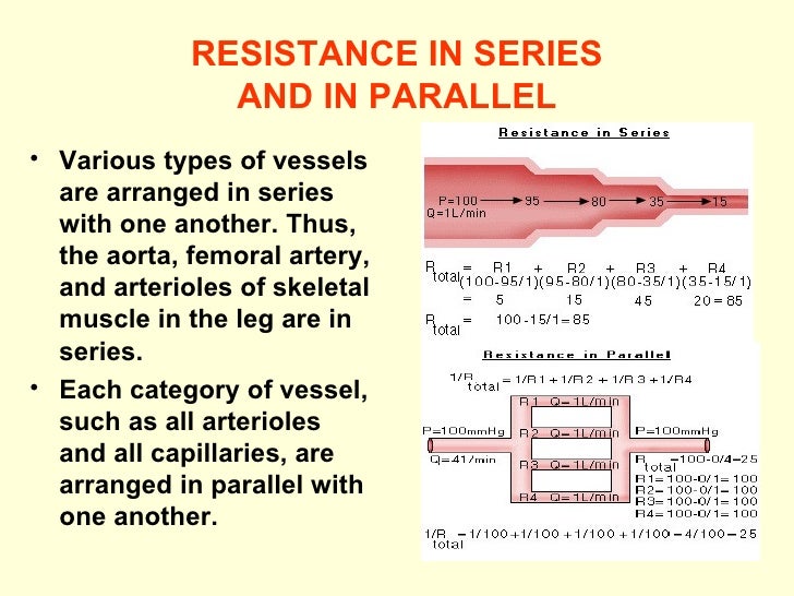 31. cardiovascular 3-08-09