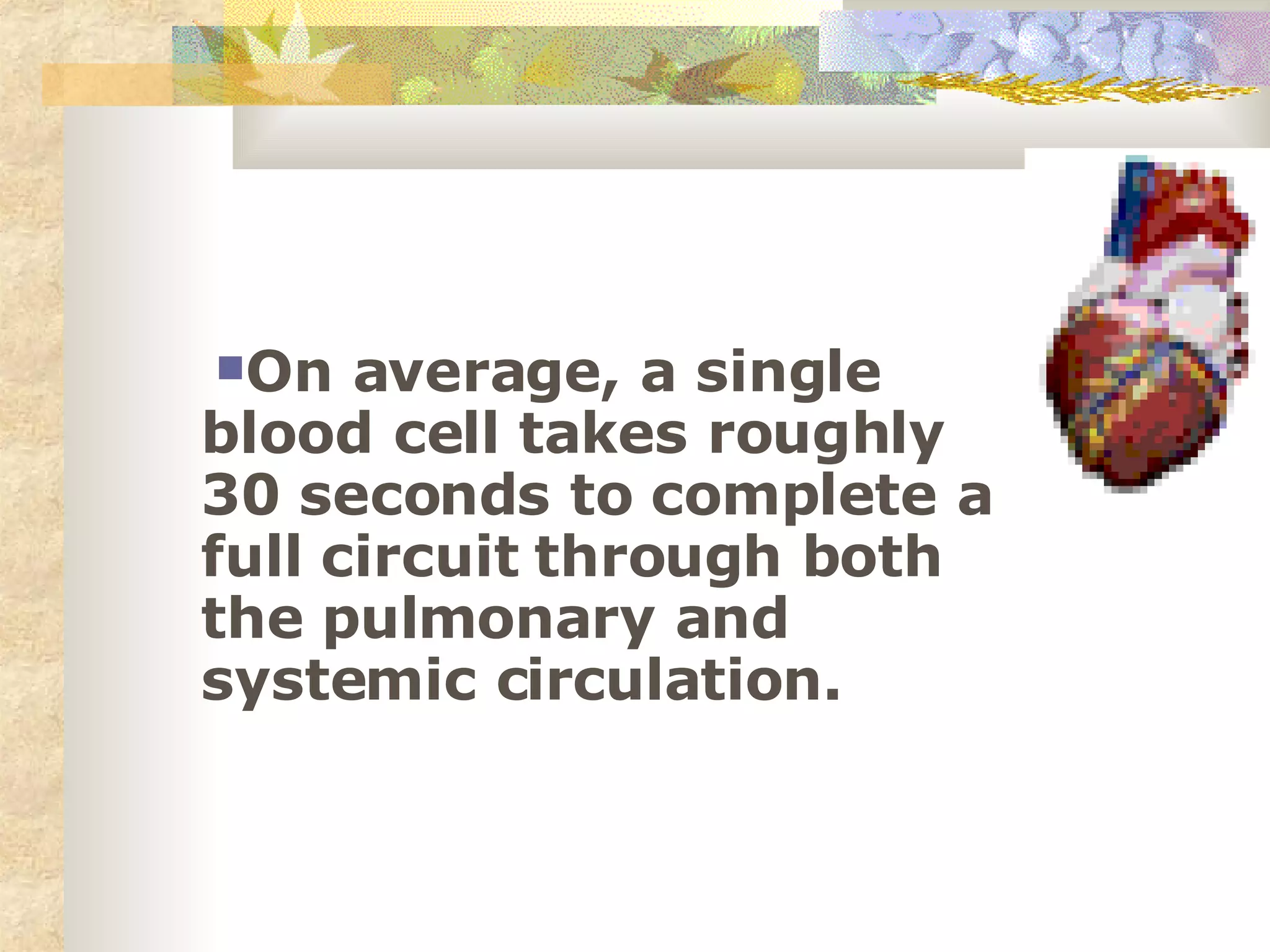 Circulatory System | PPT