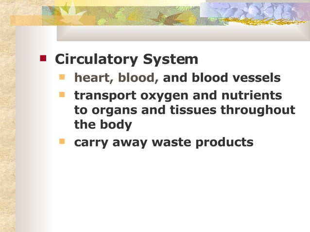 Circulatory System | PPT
