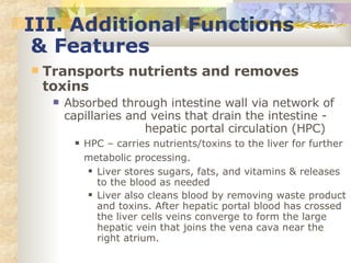 Circulatory System | PPT