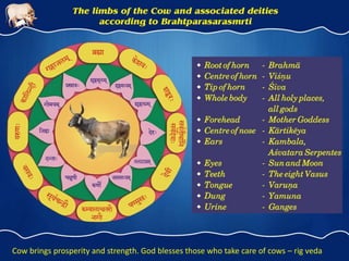 NAMO GOBHYAH - All Glories to Mother Cow | PPT
