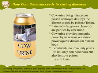 NAMO GOBHYAH - All Glories to Mother Cow | PPT