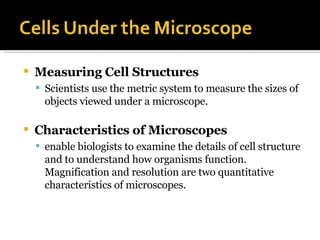 3-1 Looking At Cells Ppt | PPT