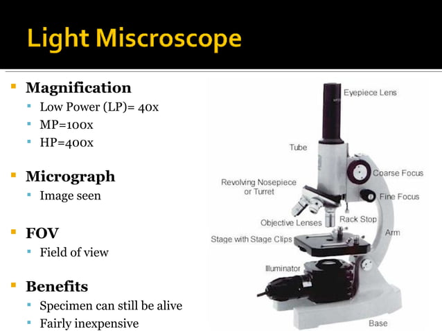 3-1 Looking At Cells Ppt | PPT