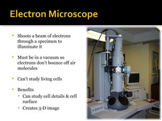 3-1 Looking At Cells Ppt | PPT