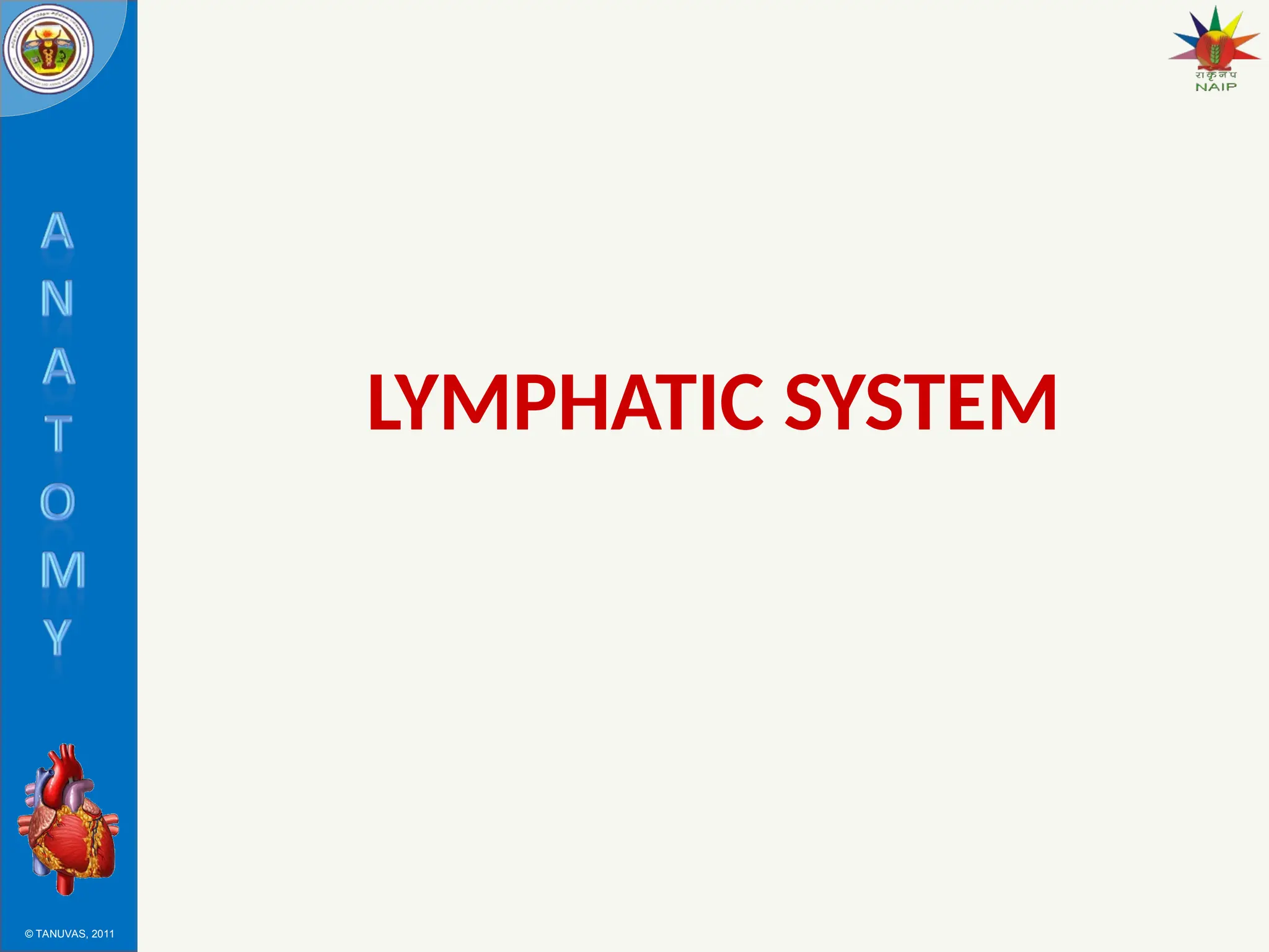 Lymphatic system of Animals and its mechanism | PPT